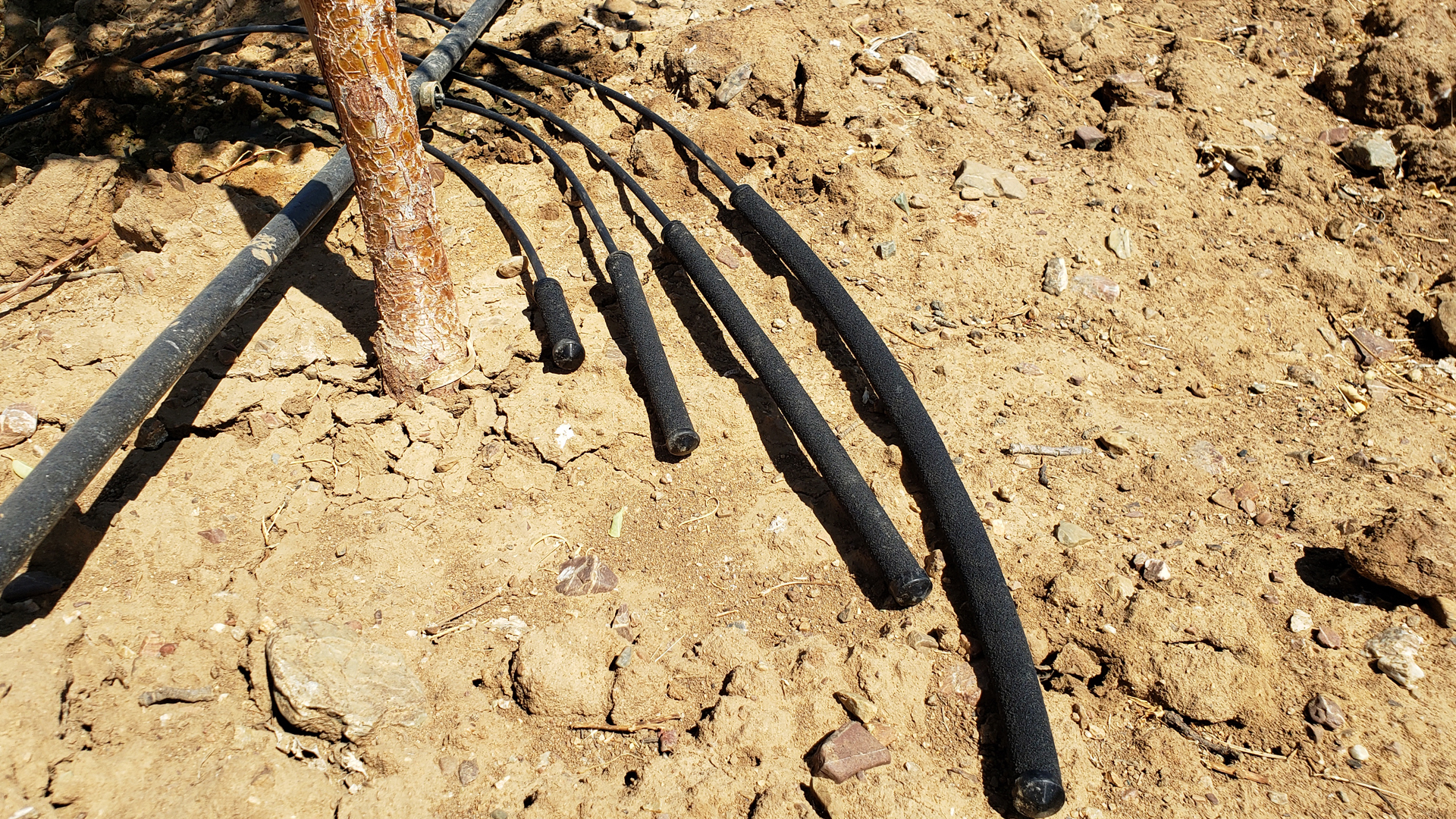 Superior Deep Root Irrigation | Deep Root Revolution