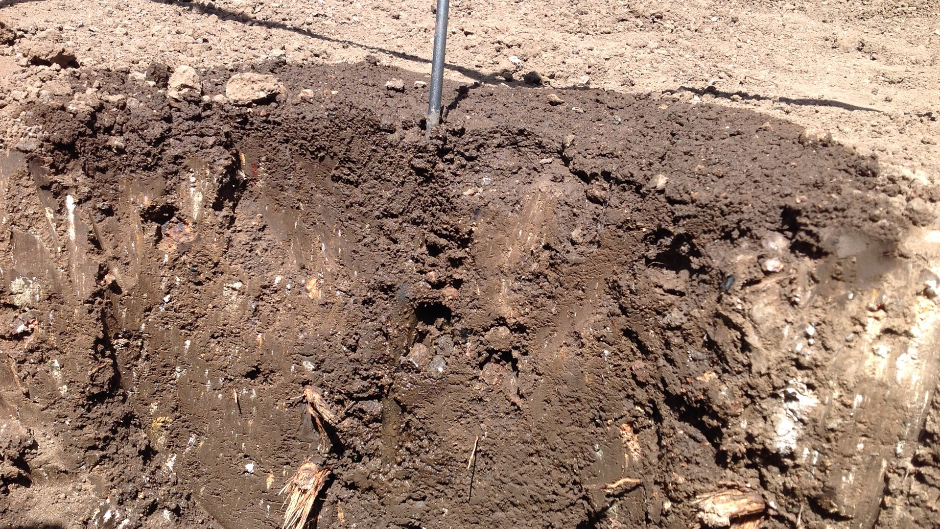 Superior Deep Root Irrigation | Deep Root Revolution